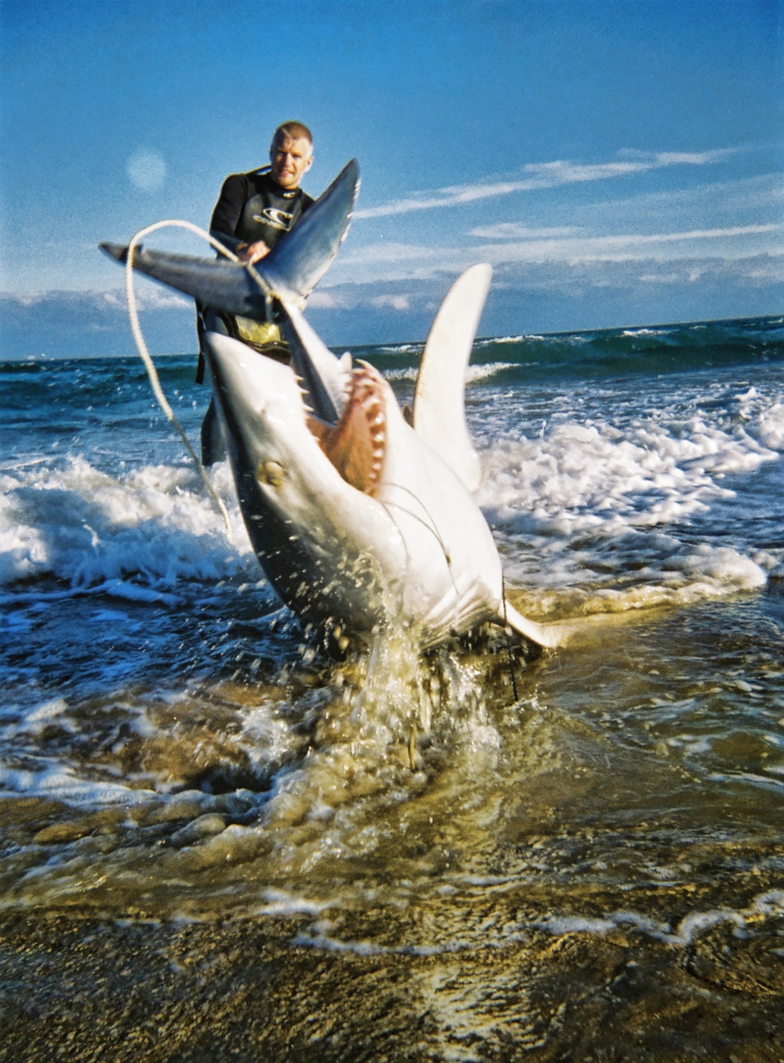 Mako Shark Keeps Up With Boat at Louise Burgess blog